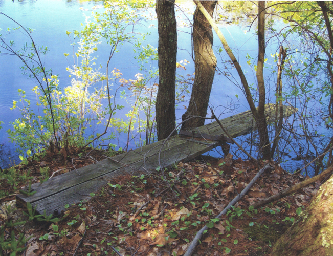 Andover Stories: Discovering Serio’s Grove, Part I | Opinion ...