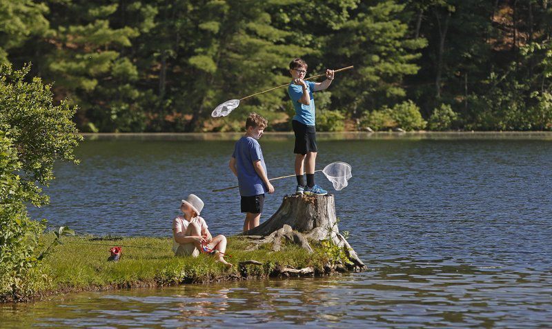 Swimming into summer | Lifestyles | andovertownsman.com