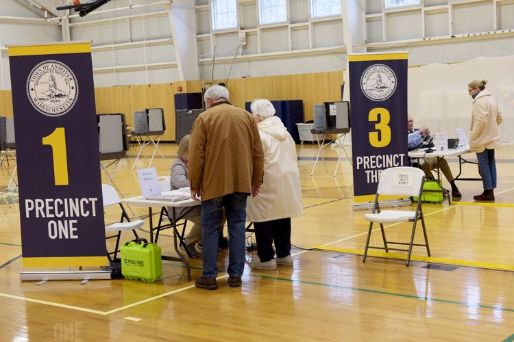 Gregory, Doherty win their races in town election | News ...