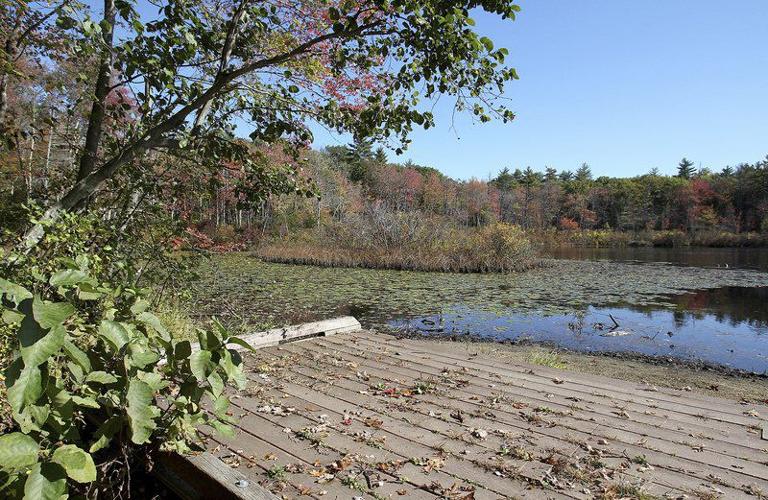 Berry Pond to open June 25 for first time in 6 years | Local News ...