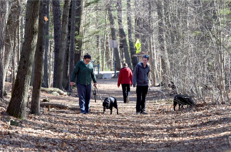 Haggetts Pond paving top story | Local News | andovertownsman.com