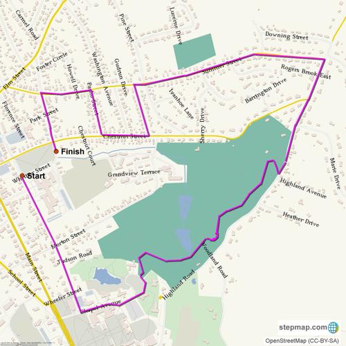 Honoring an inspiration; Step Up for Colleen set for Sunday | Local ...