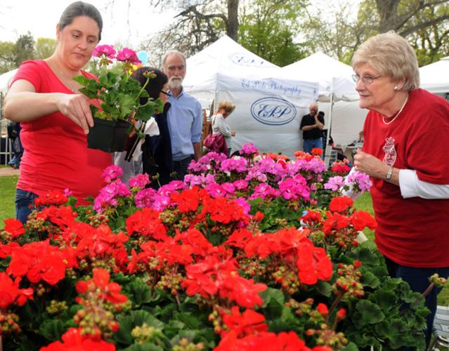 Sunshine-made Crafts in Park | Lifestyles | andovertownsman.com