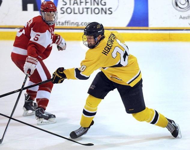 How Swede it is | Sports | andovertownsman.com