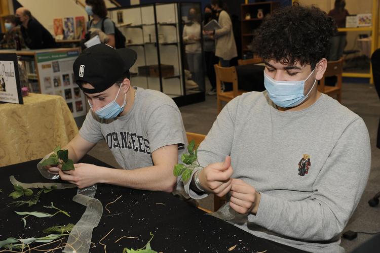 A novel education: Literature and history intersect | News ...