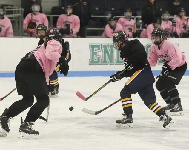 Pink in the Rink for the Annual Colleen E. Ritzer Memorial Game ...