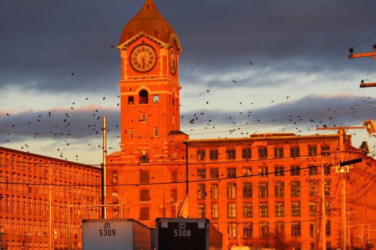 Artful crows | Lifestyles | andovertownsman.com