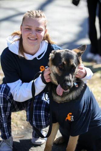 Still walking strong | News | andovertownsman.com