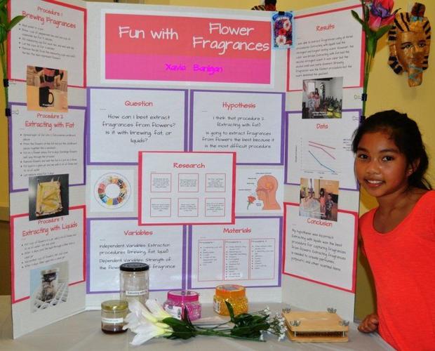 Flower Science Fair Project Ideas | Best Flower Site