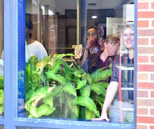 Photo gallery: A bee hive at the Calhoun County Sheriff's Office ...