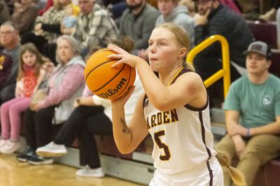 Prep basketball: Spring Garden girls start quick, cruise to road ...