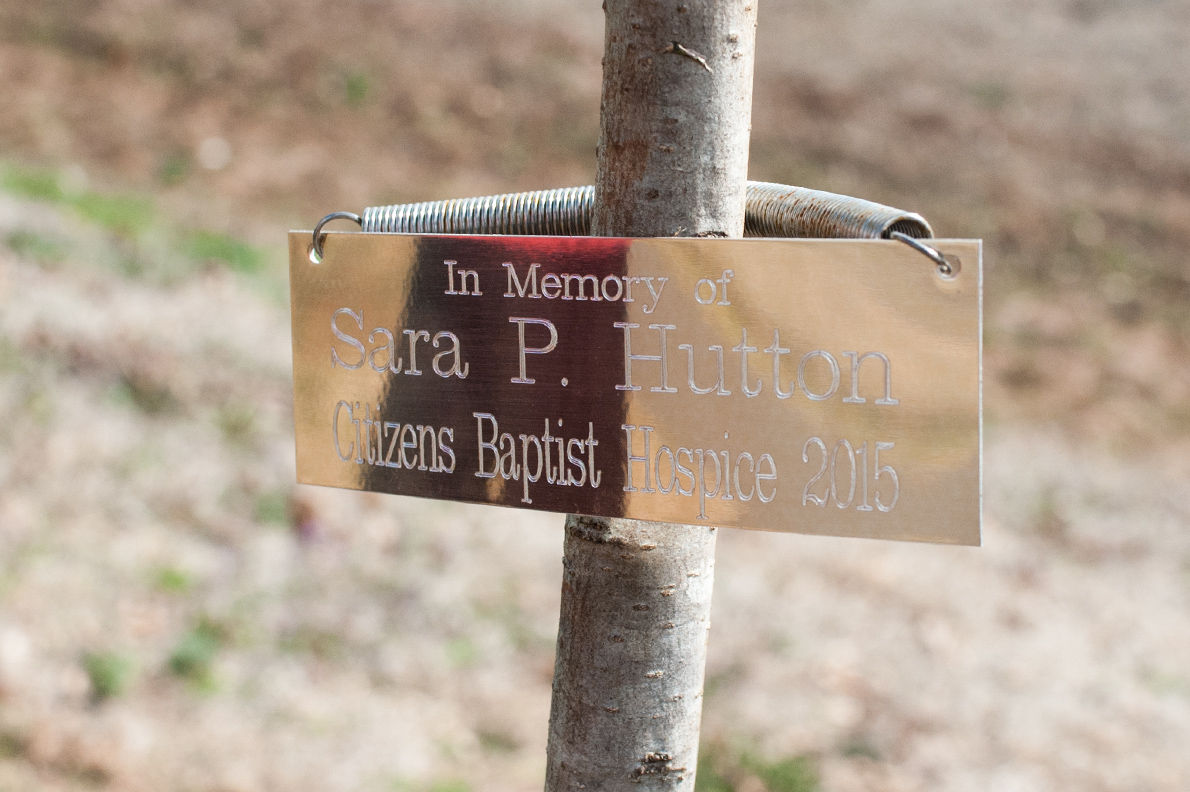 Tree planting honors lost loved ones, Arbor Day | The Daily Home ...
