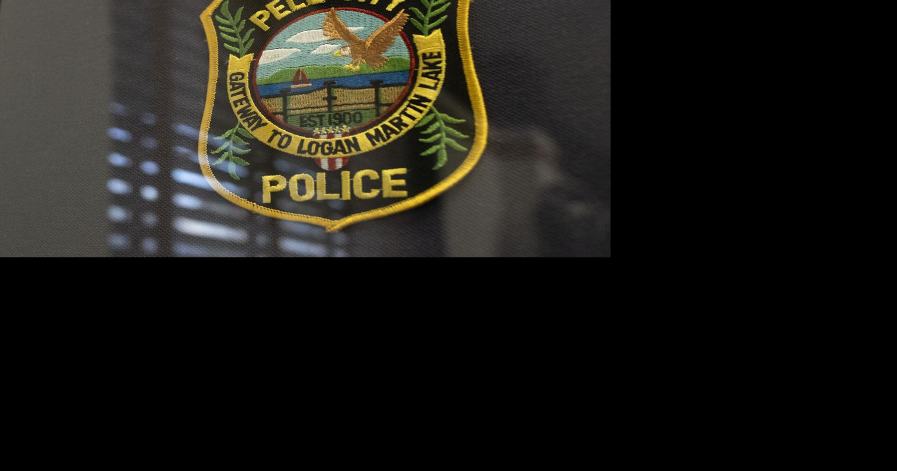 Pell City Police Department to add van for SWAT, narcotics teams | News ...