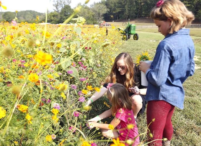 Photos: Opening Day at Bennett Farms in Heflin | News | annistonstar.com