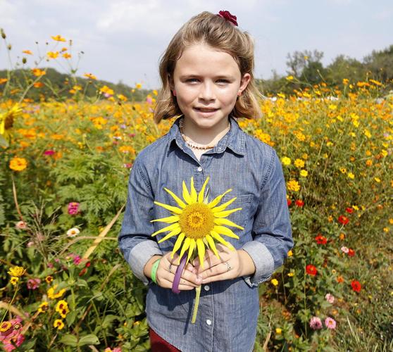 Photos: Opening Day at Bennett Farms in Heflin | News | annistonstar.com