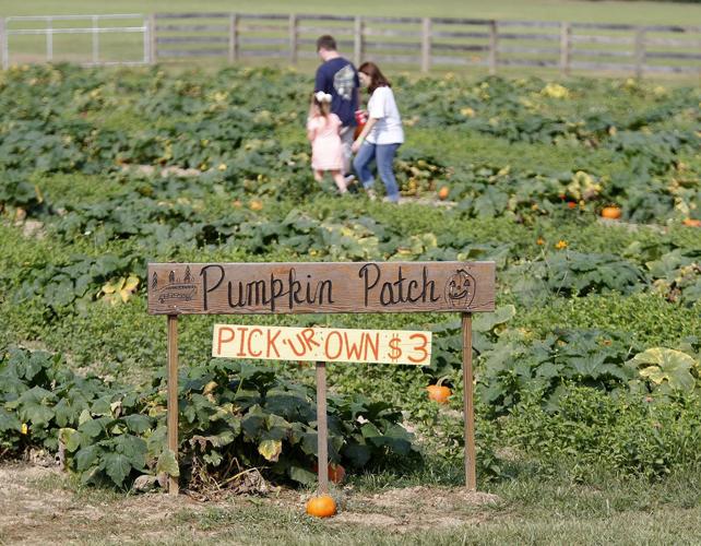 Photos: Opening Day at Bennett Farms in Heflin | News | annistonstar.com
