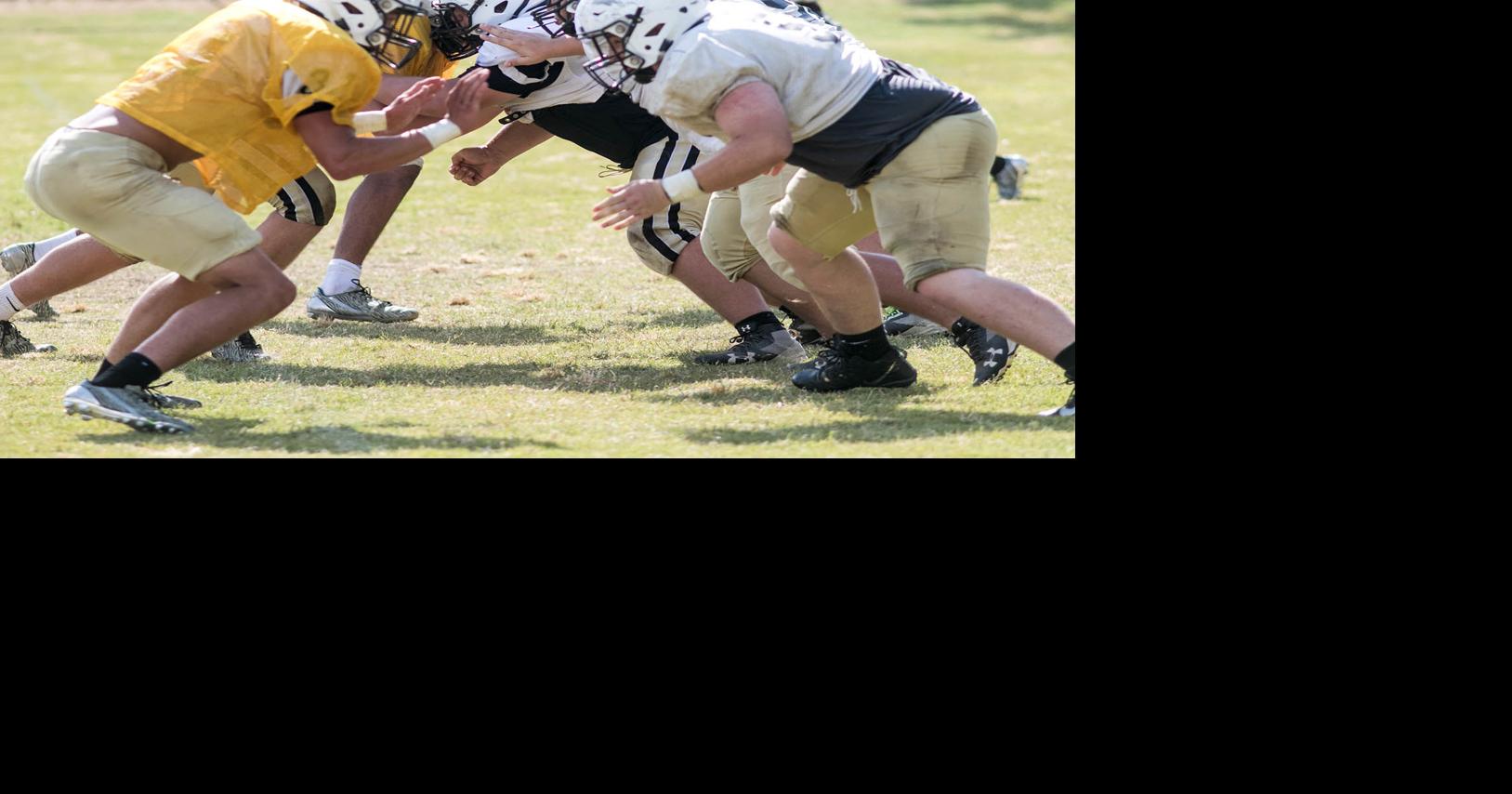 Pell City football: Panthers will face Munford, Montevallo in spring ...