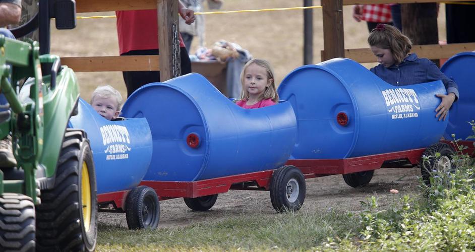 Photos: Opening Day at Bennett Farms in Heflin | News | annistonstar.com