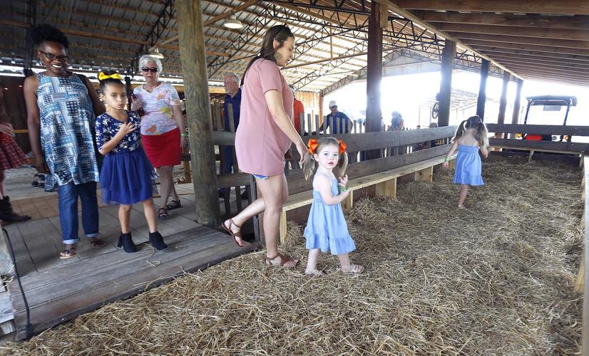 Photos: Opening Day at Bennett Farms in Heflin | News | annistonstar.com