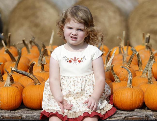 Photos: Opening Day at Bennett Farms in Heflin | News | annistonstar.com