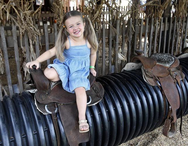 Photos: Opening Day at Bennett Farms in Heflin | News | annistonstar.com