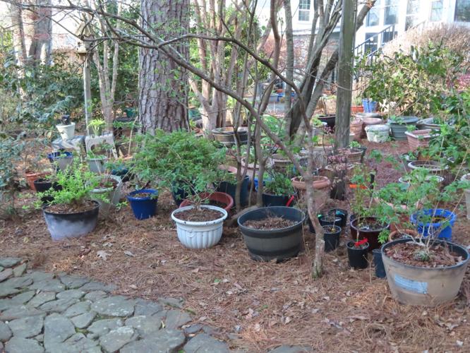 Tackling spring garden chores can be a lengthy process, but well worth ...