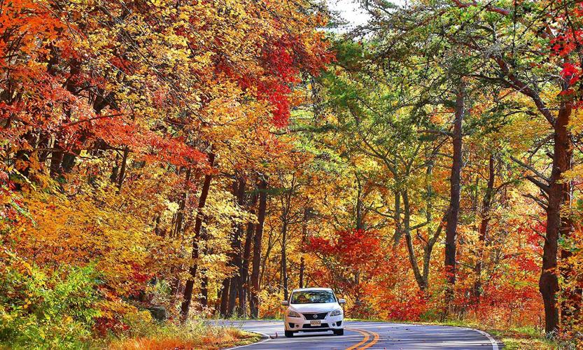 Fall Color Scenes from Anniston Star Photographers | Slideshows ...