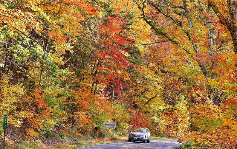Fall Color Scenes from Anniston Star Photographers | Slideshows ...