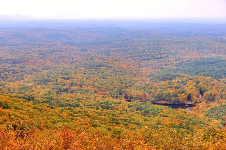 Photos: Fall Color on Cheaha Mountain | Features | annistonstar.com