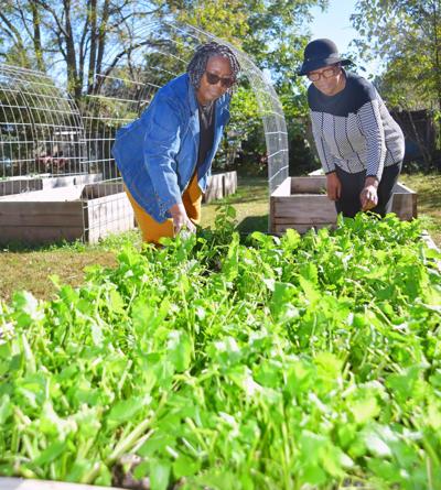 Hobson City builds on history with renovations, gardens and plans for ...