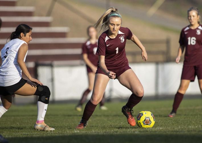 Girls soccer: Donoho’s Erin Turley reaches 100-goal milestone as a ...
