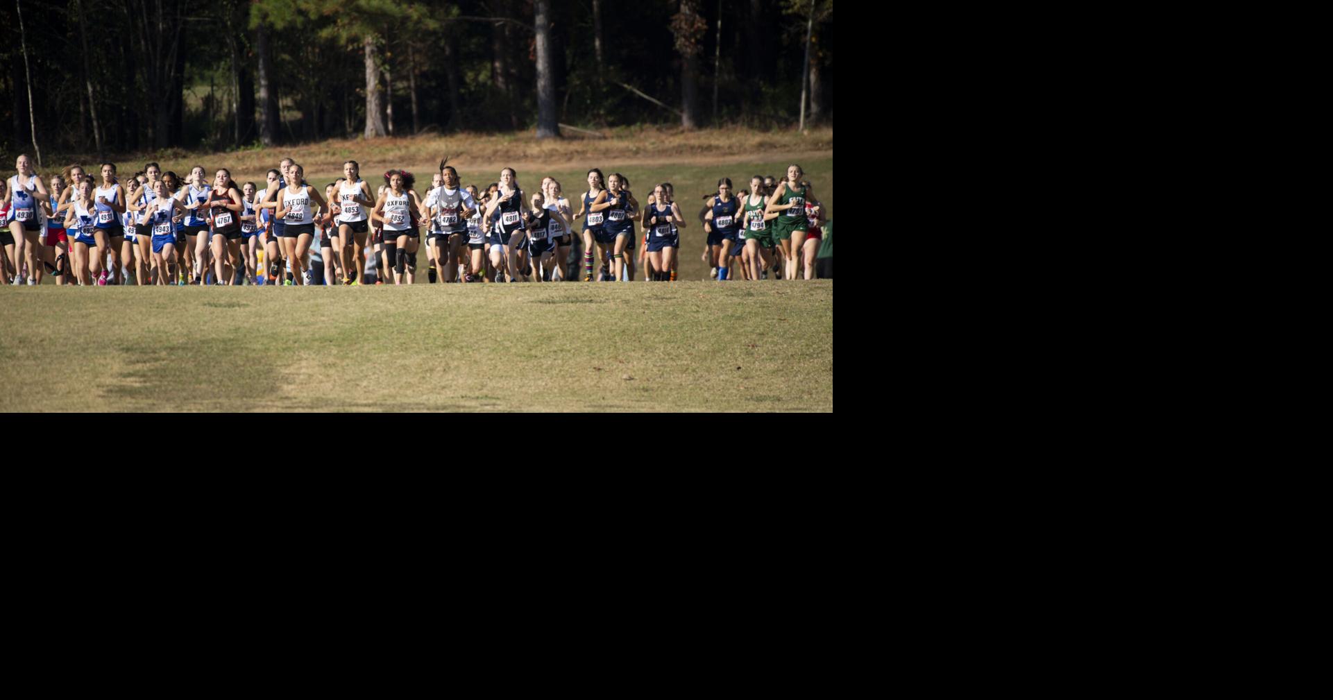 Cross Country: Jacksonville's Easterling, Donoho's Hartwell win ...