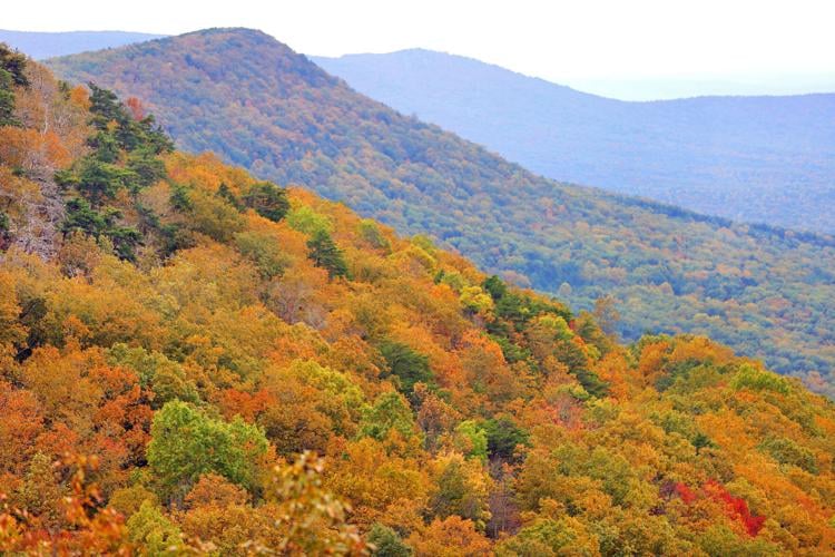 Photos: Fall Color on Cheaha Mountain | Features | annistonstar.com