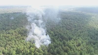 Alabama Forestry Commission issues a fire alert | Free | annistonstar.com
