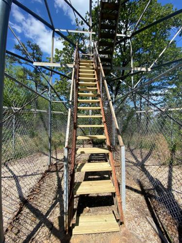 Grant allows restoration of fire tower | | annistonstar.com