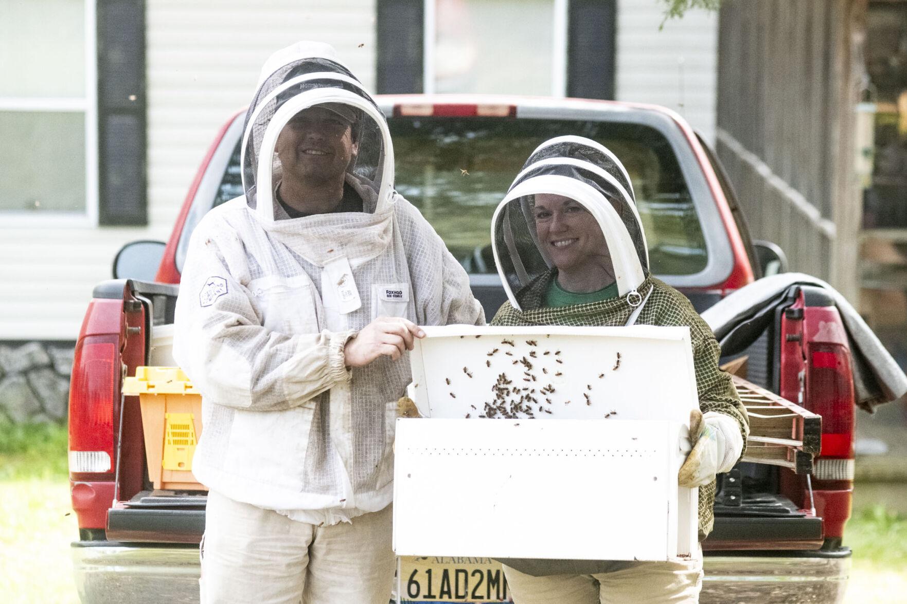 Tucker Webb: What to do when bees swarm your yard | Lifestyle ...