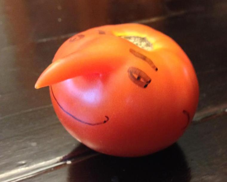 Ugly Tomato Contest - The Anniston Star: Life & Arts