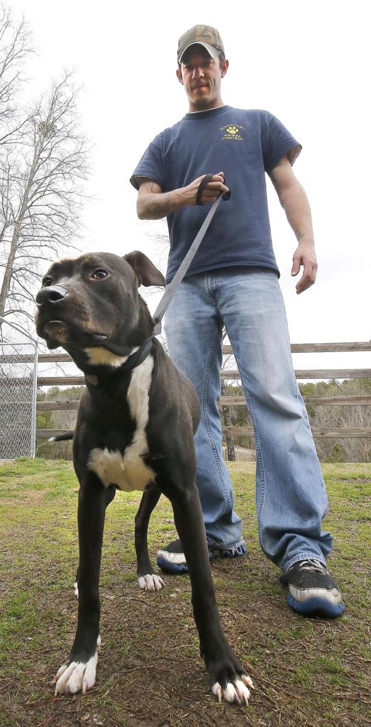 State bill requires animal shelters file monthly reports | News ...