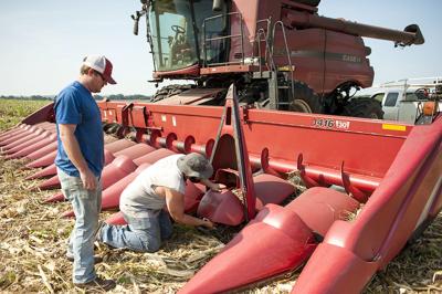 CORN HARVEST: Stockdale Farms employees prepare for process that takes ...