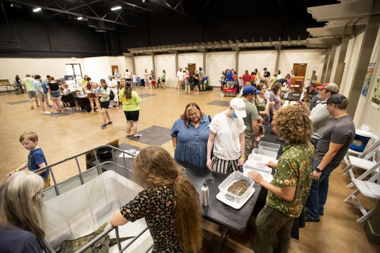 Photos: HerpFest 2023 - Anniston Museum and Gardens | Slideshows ...