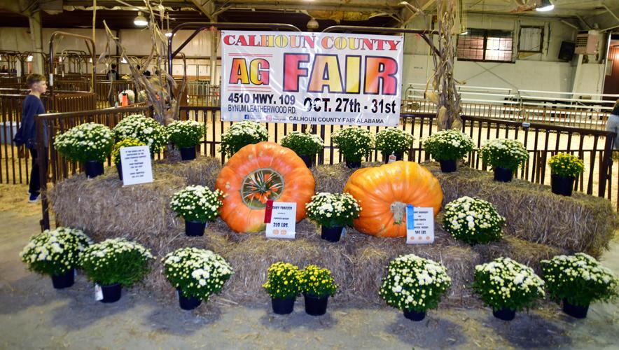 Calhoun County Fall Fair | Slideshows | annistonstar.com