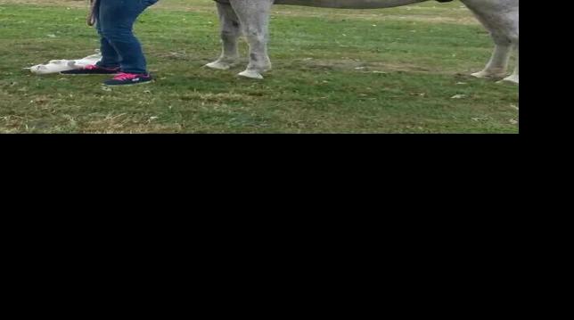 Spotlight on: Megan Parris, singer | Spotlight | annistonstar.com