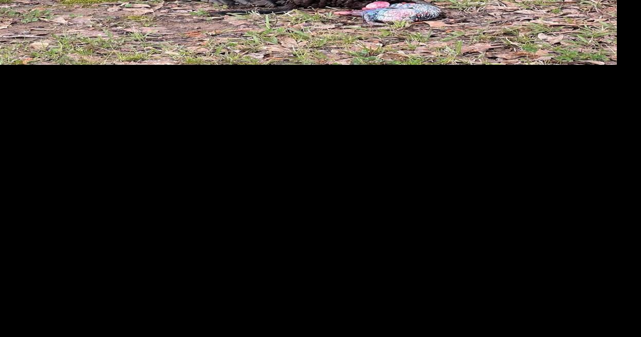 Turkey Tate Emmons | | annistonstar.com