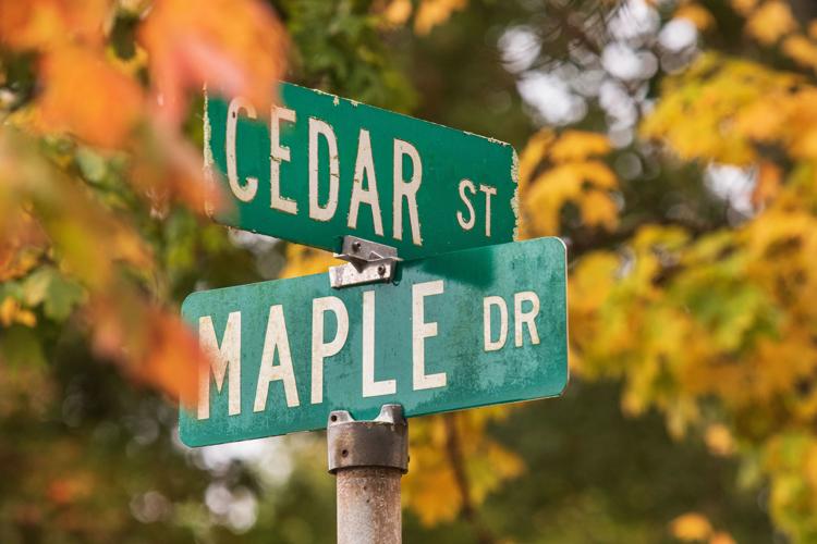 FALL FOLIAGE: Leaves changing from green to fall colors make for ...