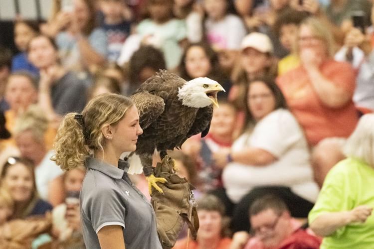 Photos: Auburn Raptor Center presentation in Sylacauga | The Daily Home ...