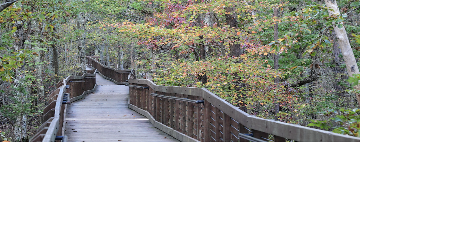 Mt. Cheaha ranks among state’s top fall beauty spots | News ...