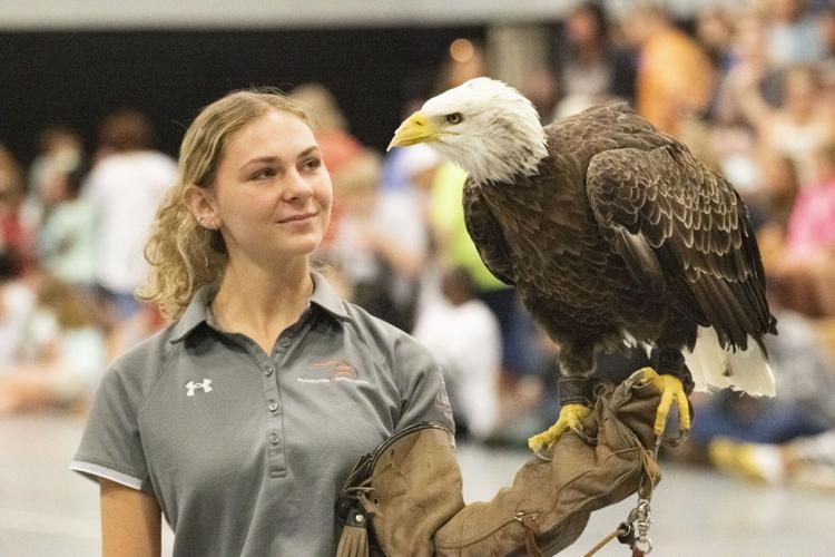 Photos: Auburn Raptor Center presentation in Sylacauga | The Daily Home ...