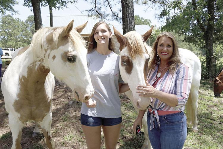Saving horses from being euthanized means the world to Kim Turner | The ...