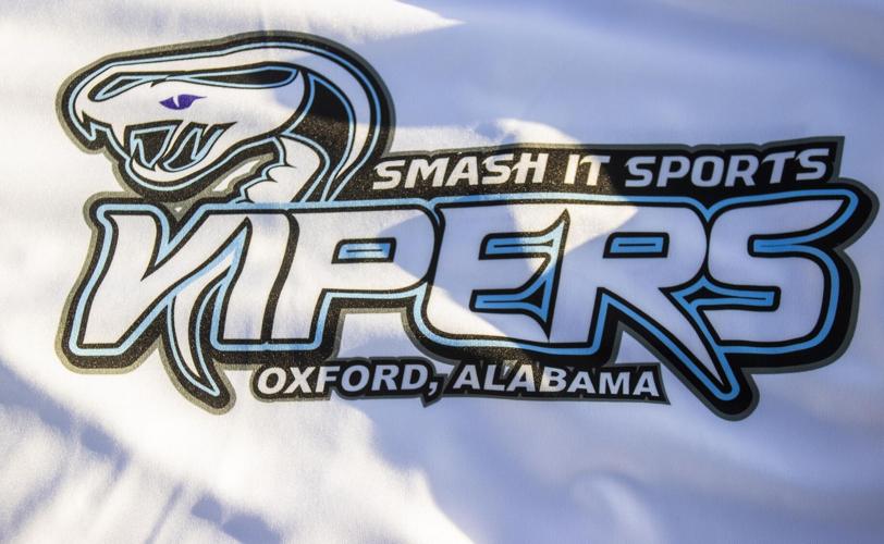 Vipers softball: Rogers’ incredible night leads Vipers past USSSA Pride ...
