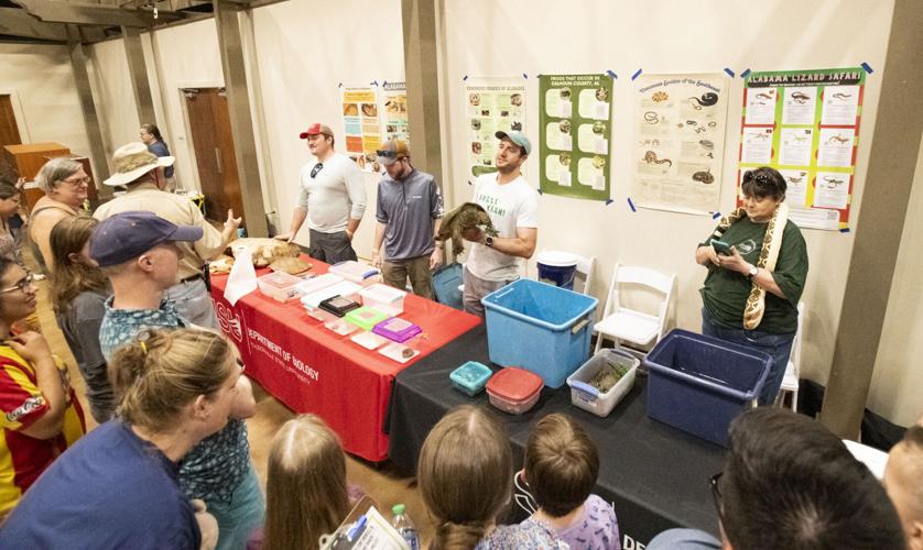 Photos: HerpFest 2023 - Anniston Museum and Gardens | Slideshows ...